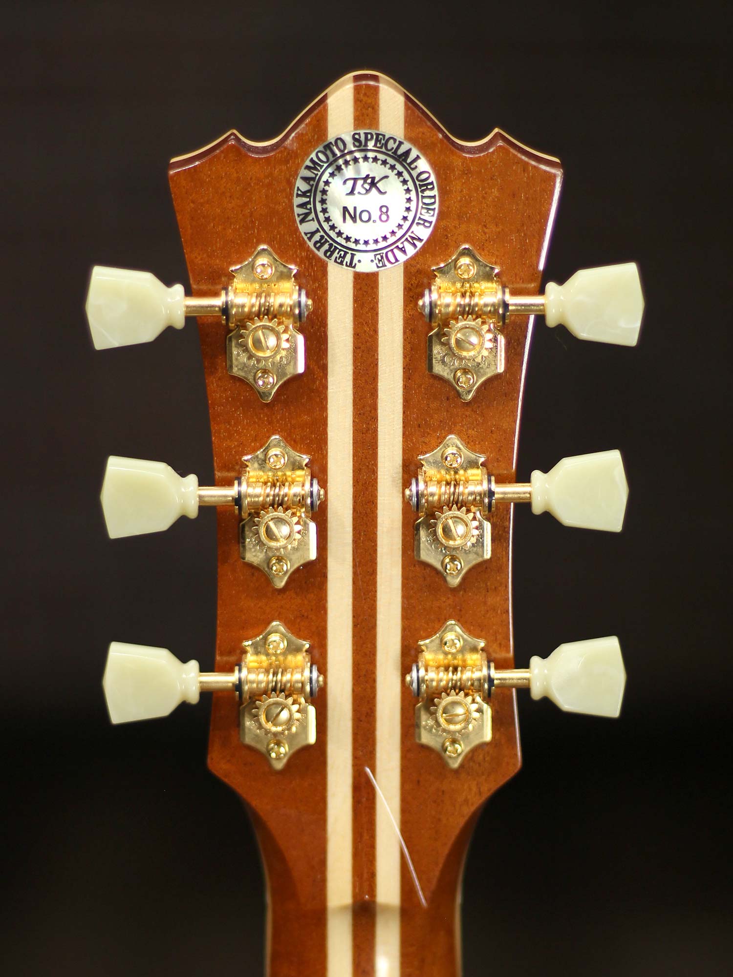 TSK No.8 Tortoise Shell Pickguard -Not Aged-